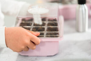 Getting Humidity Dome For Seedlings? Here’s What I Learned